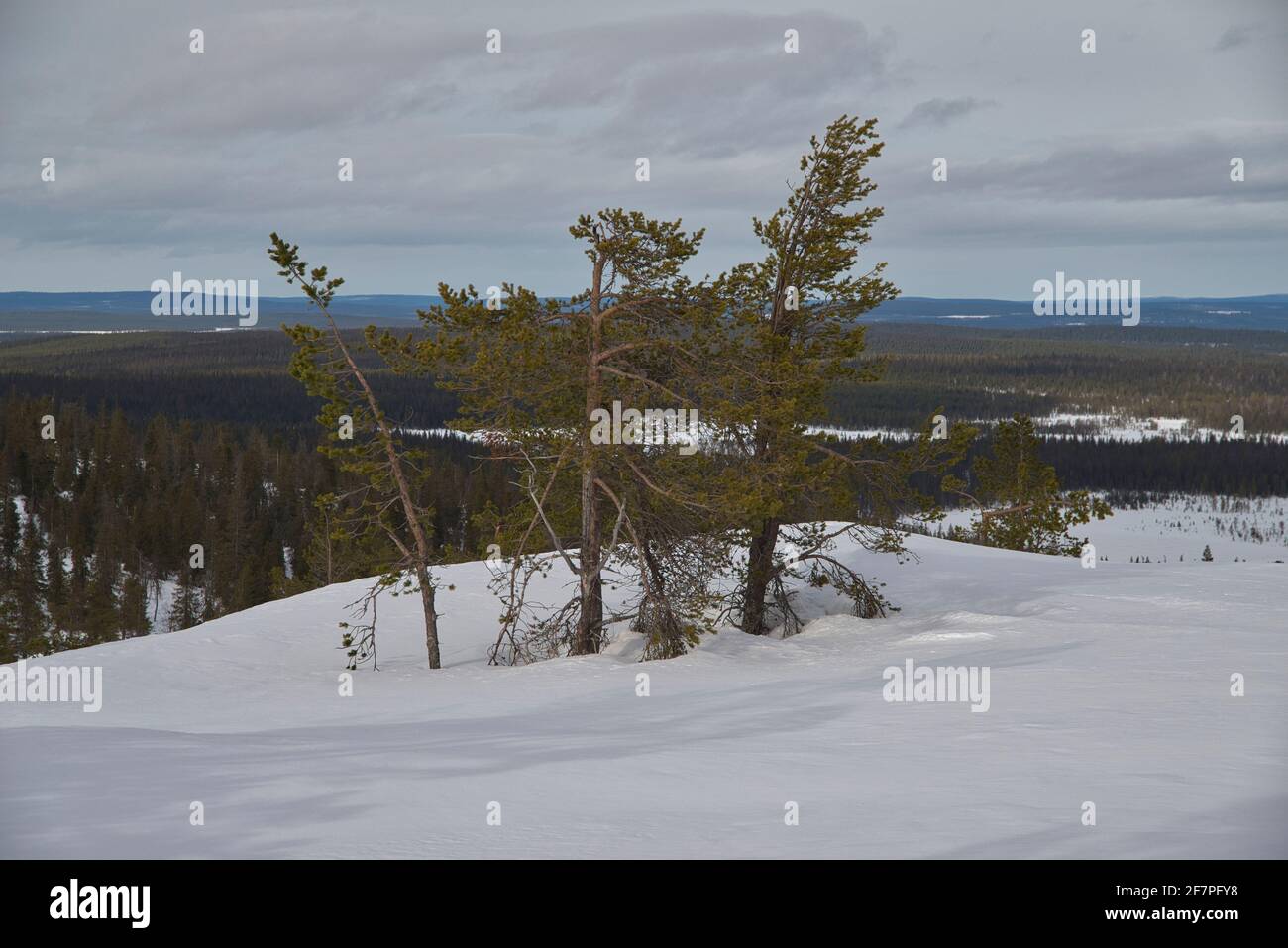 Yllas kittila lapland finland hi-res stock photography and images - Alamy