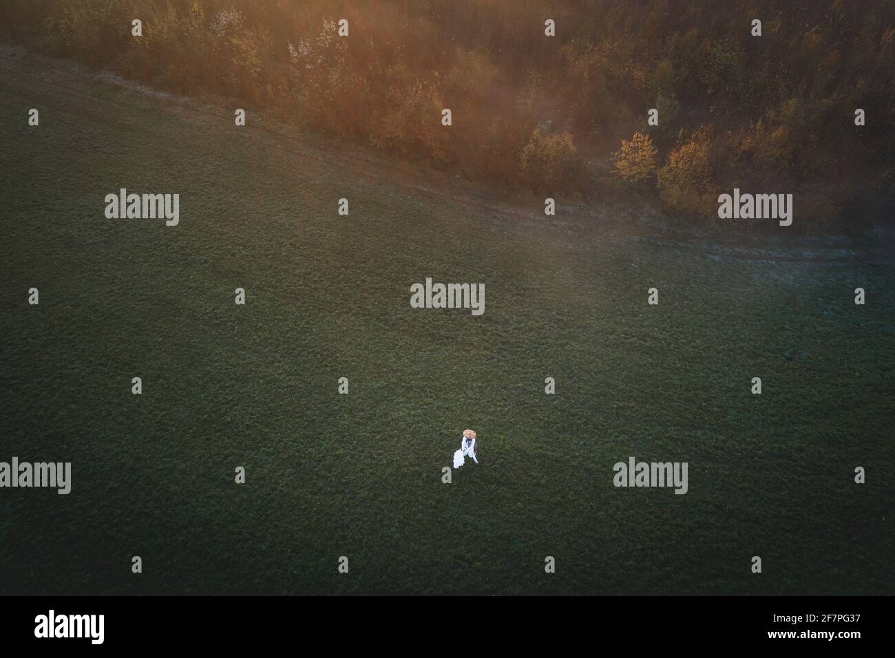 Shu gen hi-res stock photography and images - Alamy