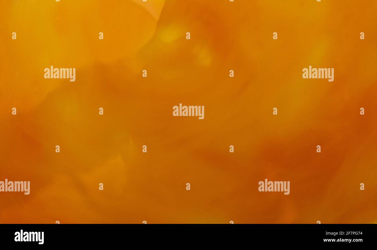 Full frame egg yolk background in mottled shades of dark yellow Stock ...