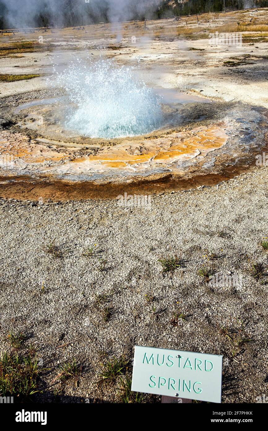 Usa vegetation west hi-res stock photography and images - Alamy