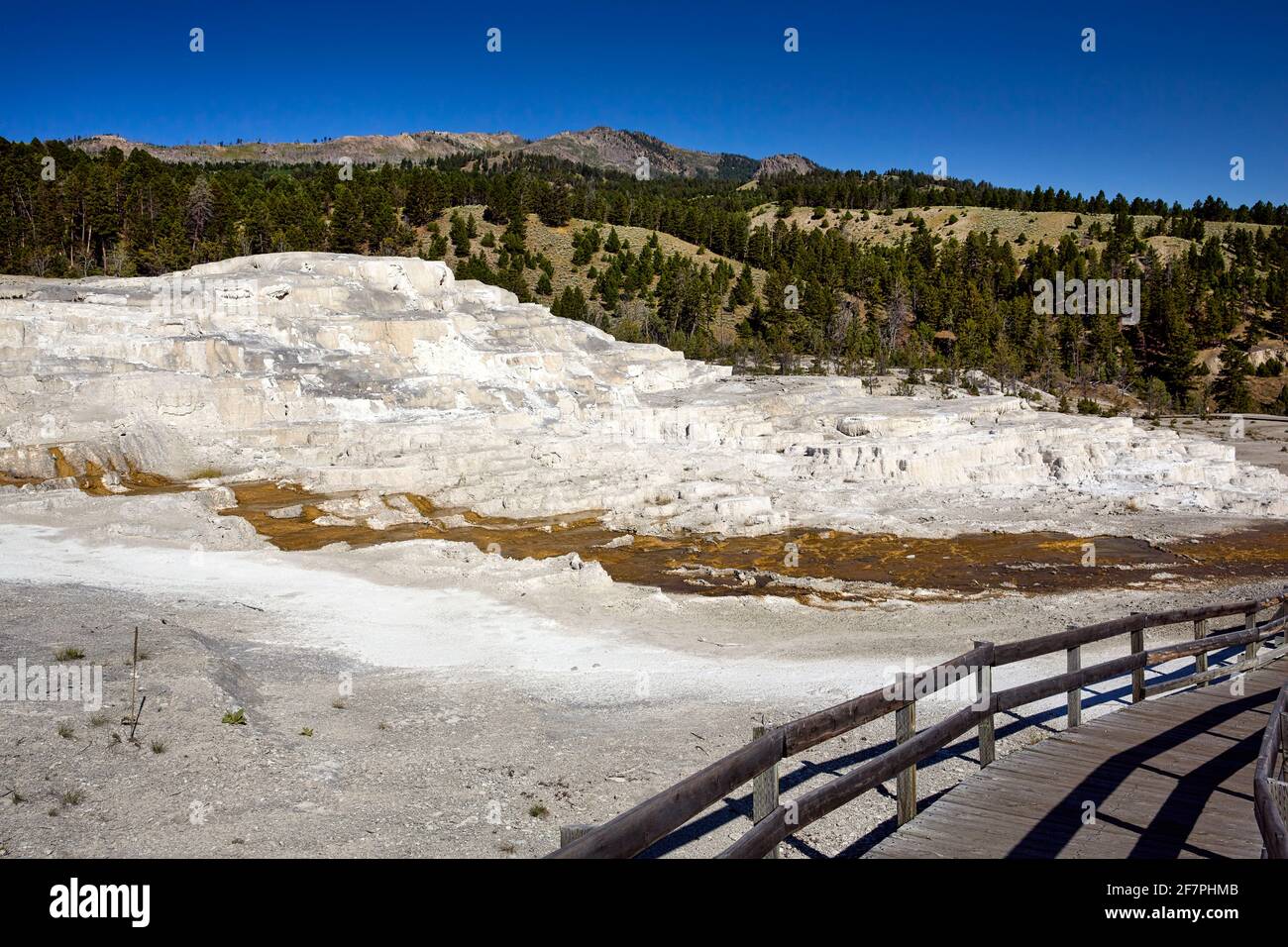 Mammoth Hot Springs. Yellowstone National Park. Wyoming. USA Stock ...