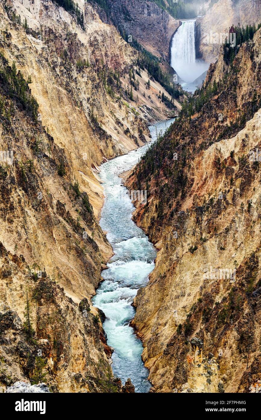 Riparian zone grand canyon hi-res stock photography and images - Alamy