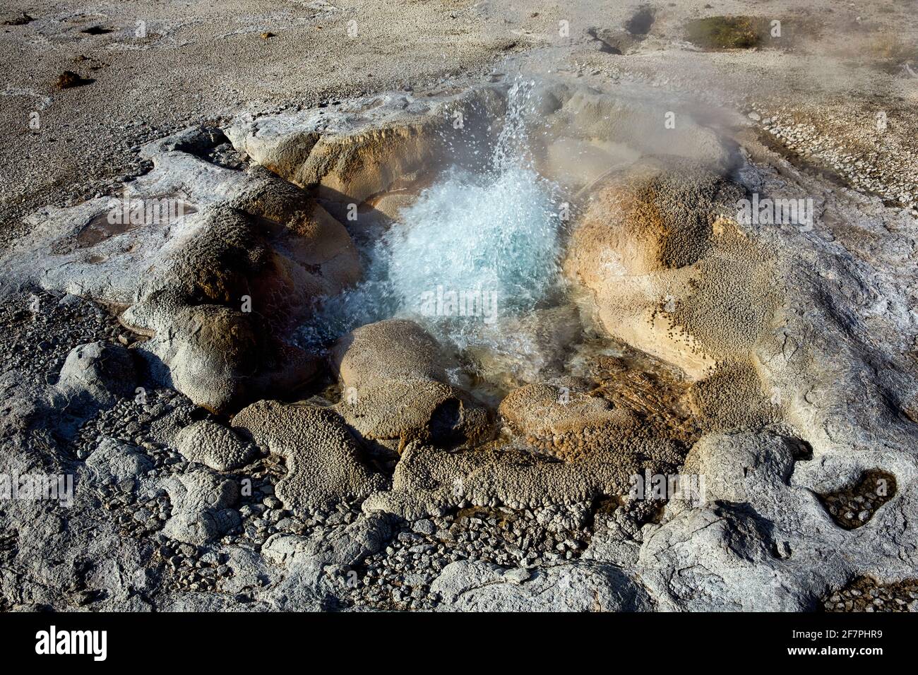 Black Sand Basin. Jewel Geyser In the Yellowstone National Park ...
