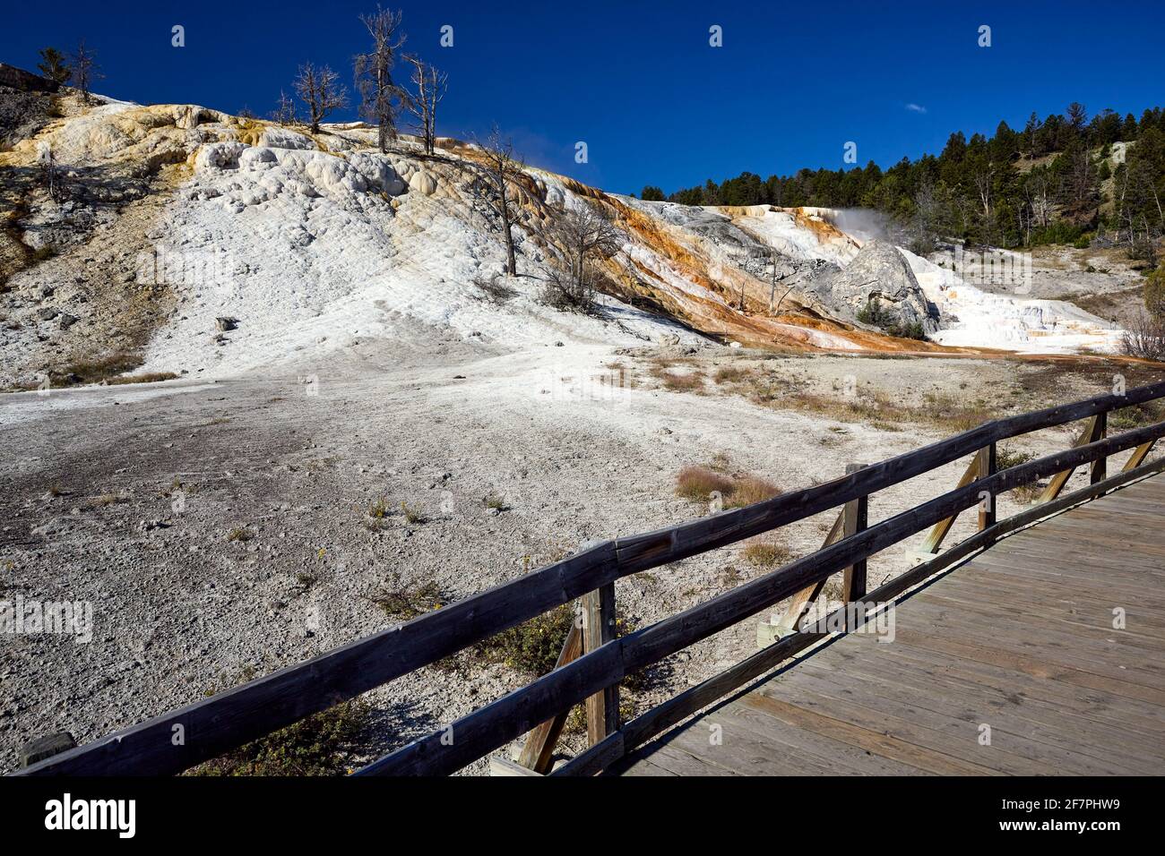 Palette Springs. Devils thumb at the Mammoth Hot Springs. Yellowstone ...