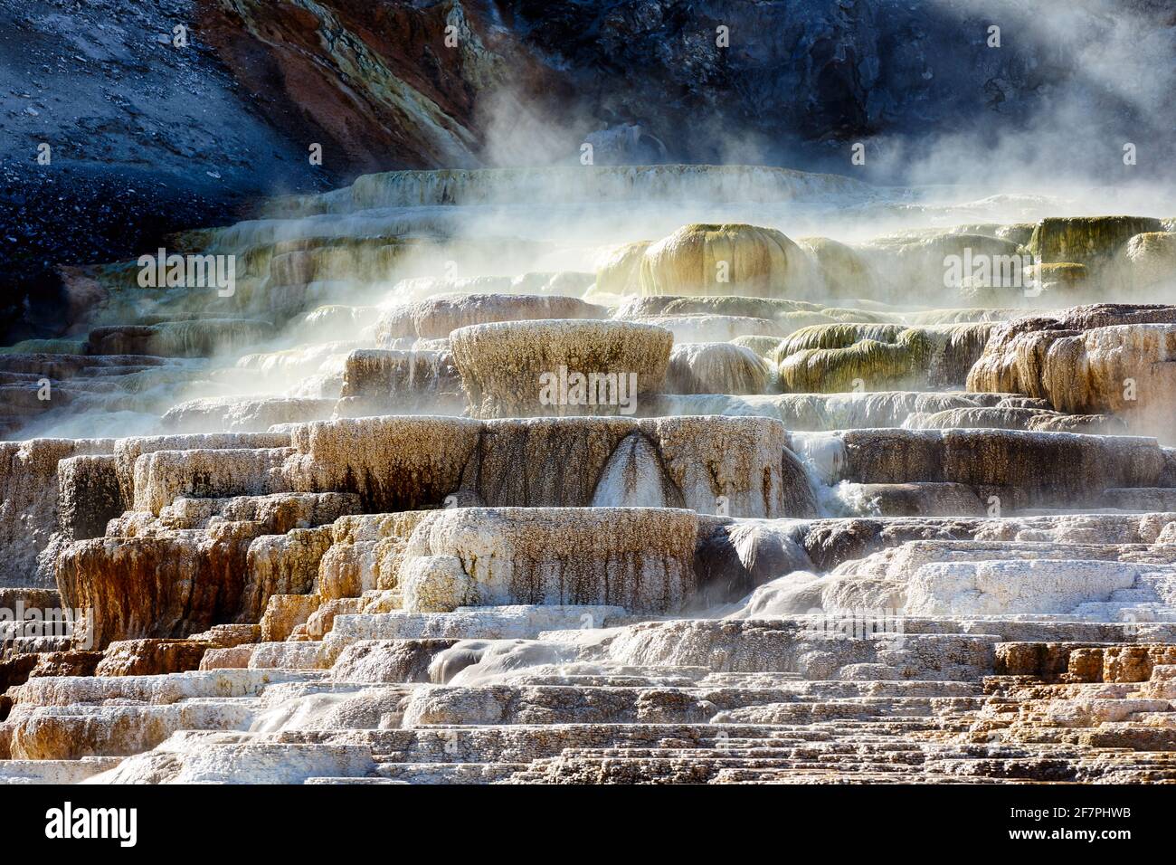 Tundra Biome High Resolution Stock Photography and Images - Alamy