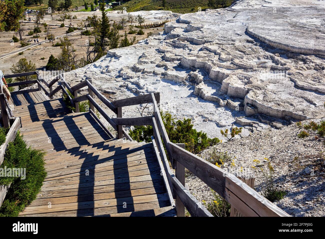 Minerva Terrace at the Mammoth Hot Springs. Yellowstone National Park ...