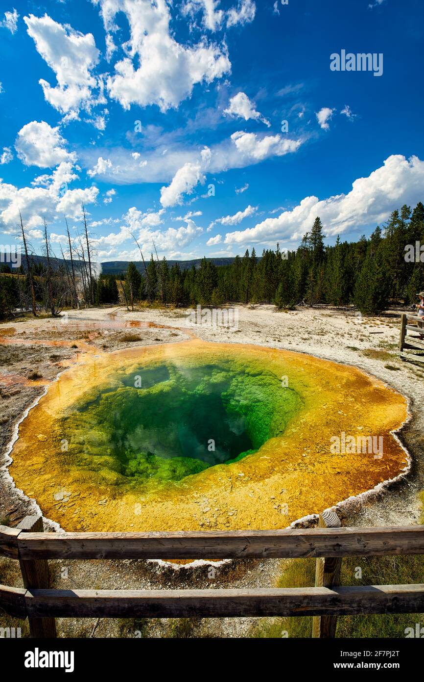 Morning Glory Pool In the Yellowstone National Park. Wyoming. USA Stock ...