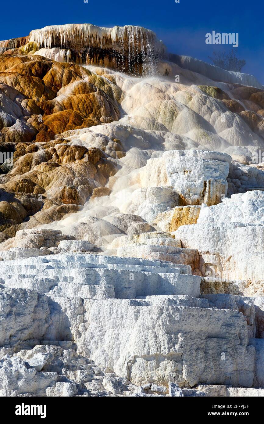 Palette Springs. Devils thumb at the Mammoth Hot Springs. Yellowstone ...