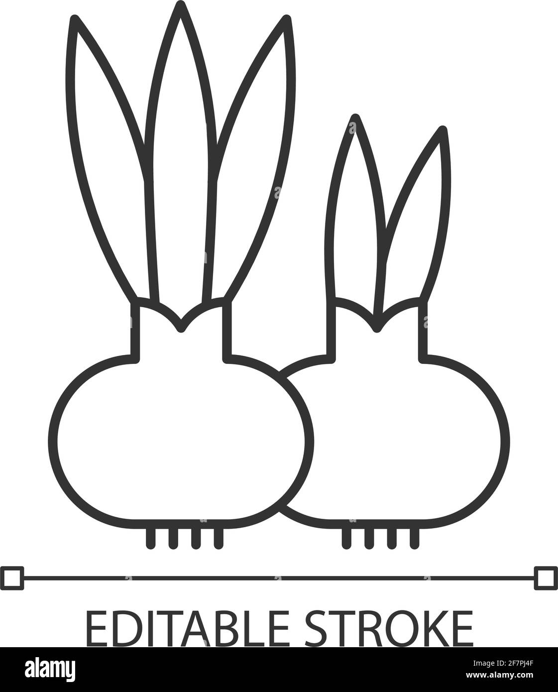 Flower bulbs linear icon Stock Vector Image & Art - Alamy