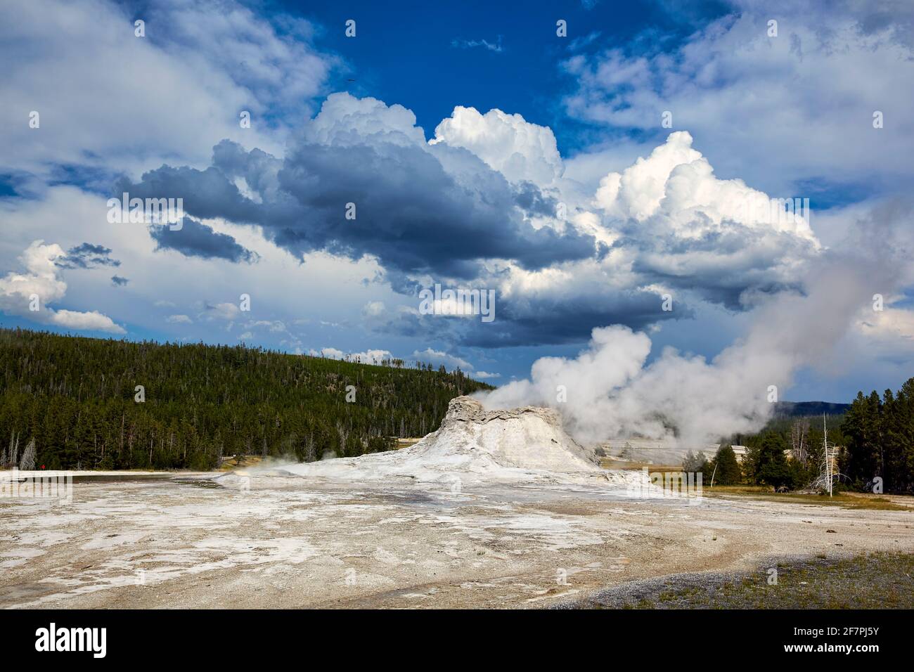 Geyser yellowstone snow hi-res stock photography and images - Alamy