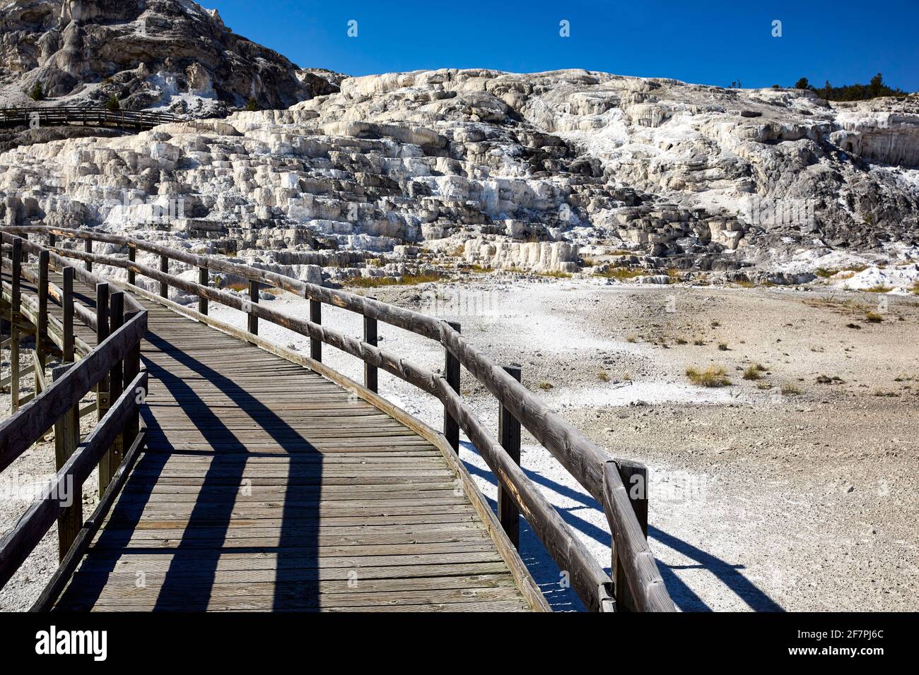 Minerva Terrace at the Mammoth Hot Springs. Yellowstone National Park ...