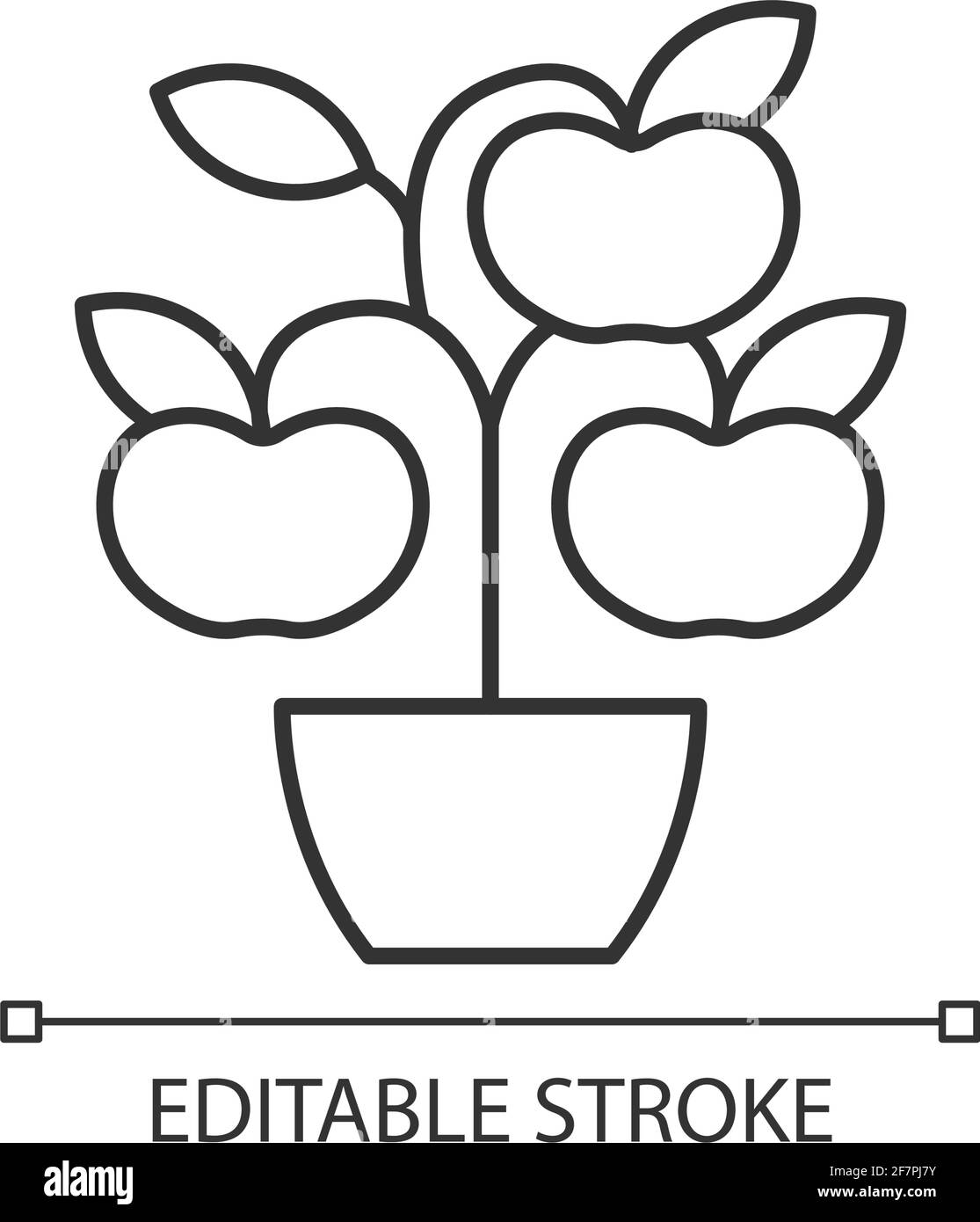 Fruit growing trees flowering Black and White Stock Photos & Images - Alamy