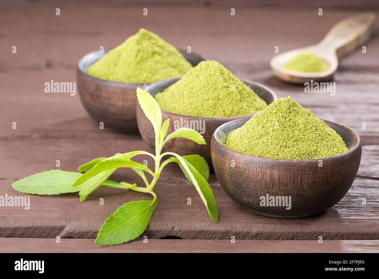 Natural sweetener in powder from stevia plant - Stevia rebaudiana Stock ...
