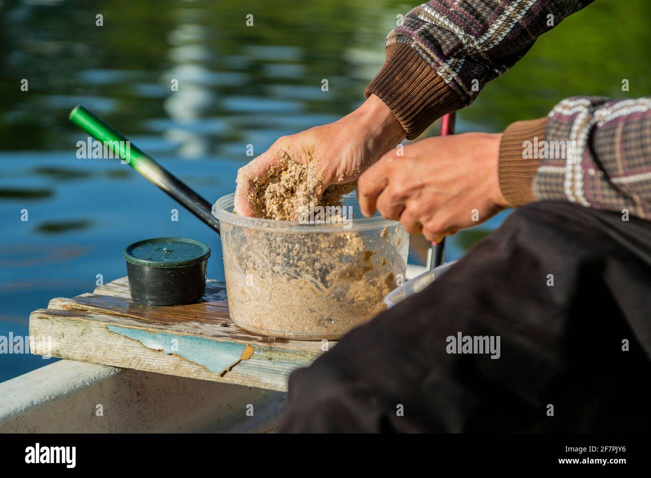 Hands making food for fish feeding and fishing chum. Man is adding corn ...
