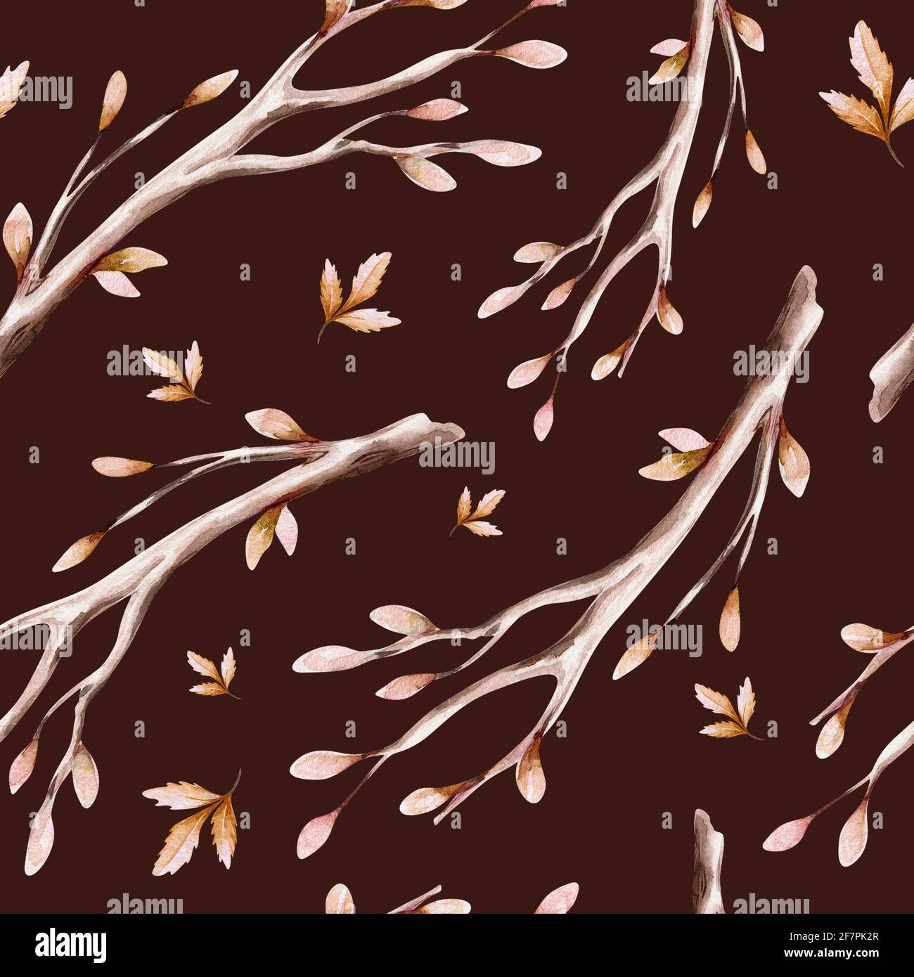 Ash tree botanical drawing hi-res stock photography and images - Alamy
