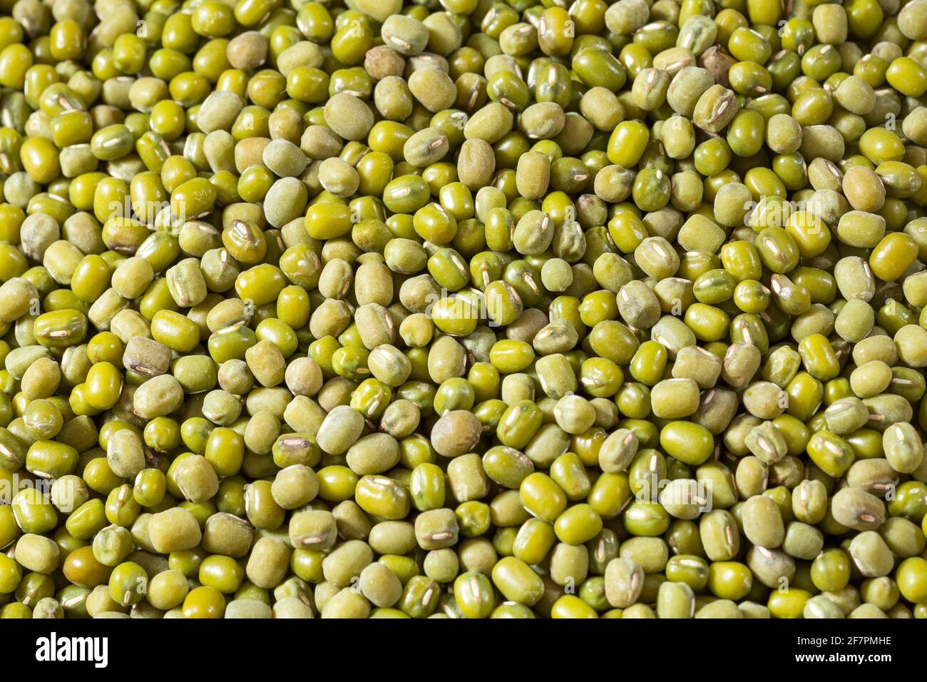 Raw mung beans - Vigna radiata Stock Photo - Alamy