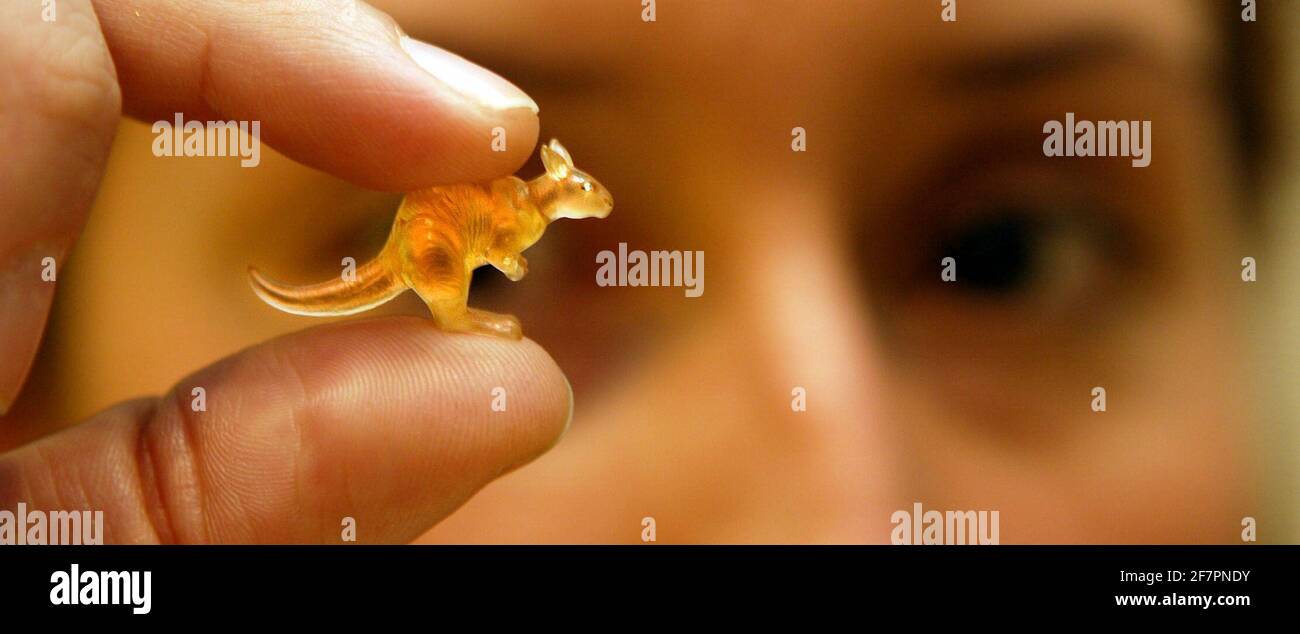 Miniature kangaroo hi-res stock photography and images - Alamy