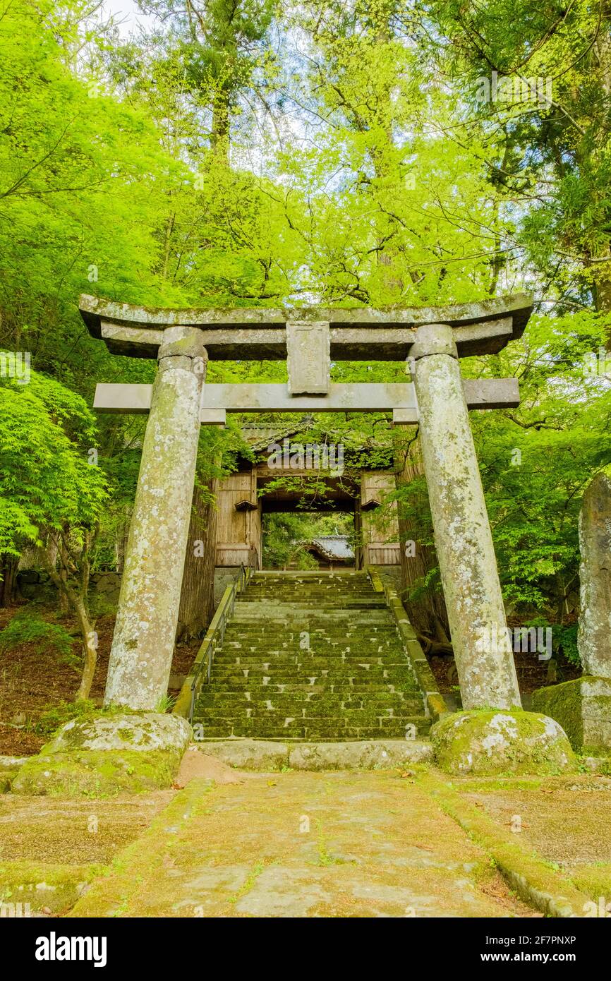 Stone torii gates hi-res stock photography and images - Alamy