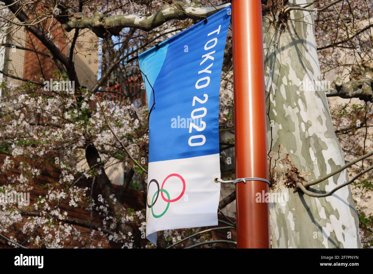 A Tokyo Olympic banner on a lamp post in and a cherry blossom tree in ...