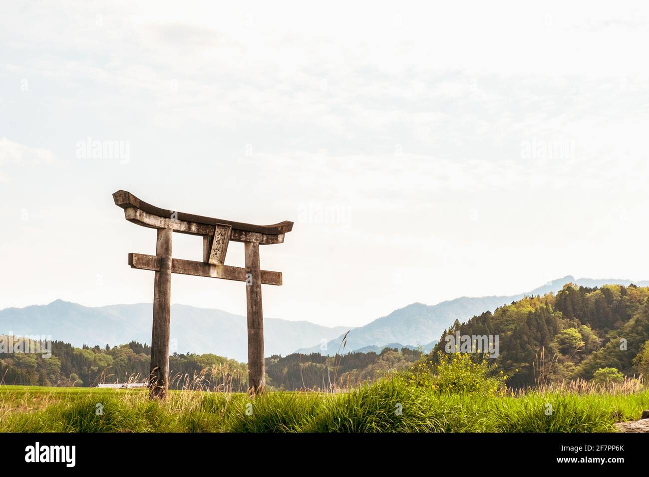 Stone Torii Gates High Resolution Stock Photography and Images - Alamy