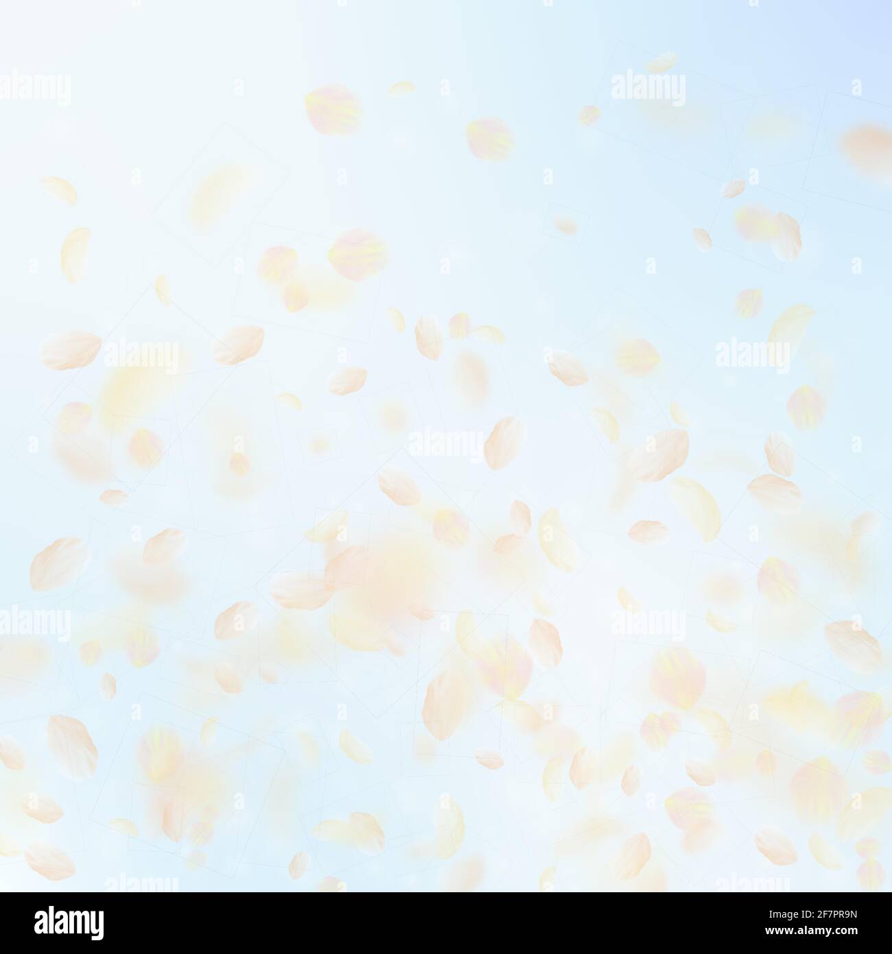 Falling Blue Rose Petals Gif