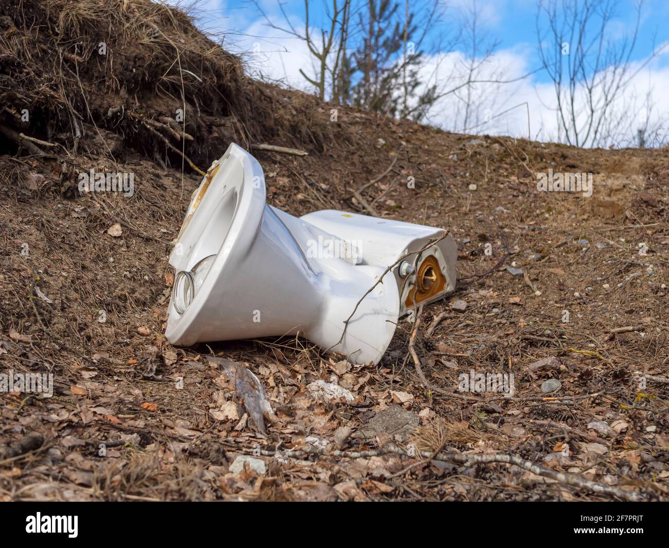 Toilet Litter. Pollution of the forest by household rubbish on nature ...
