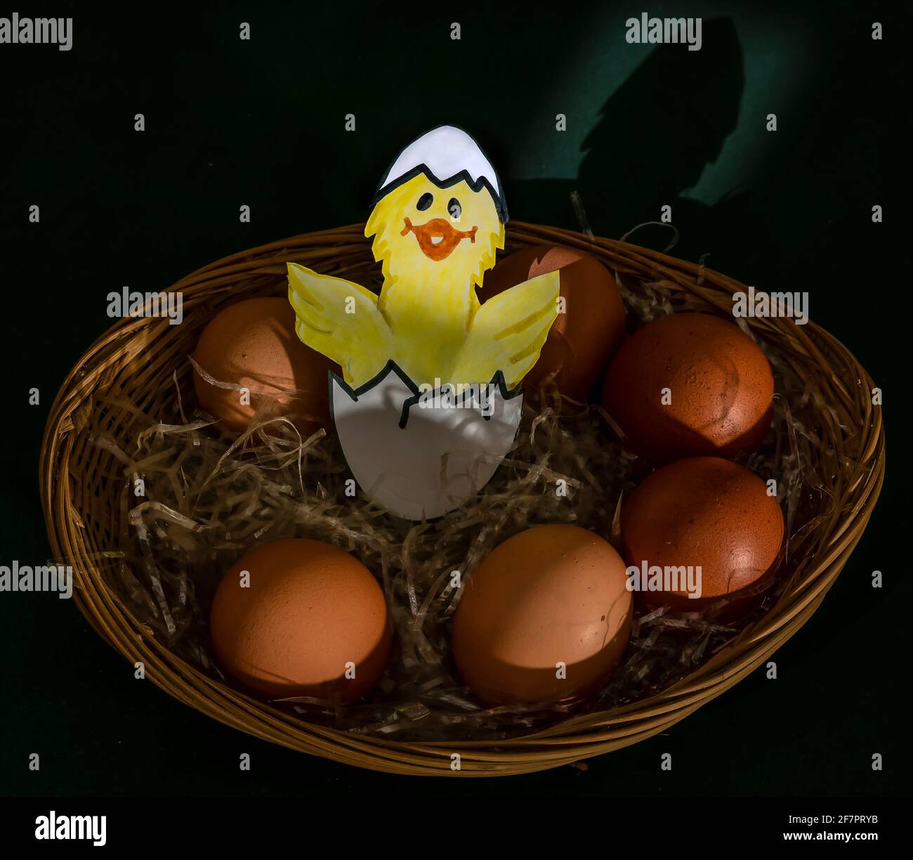Broken nest eggs hi-res stock photography and images - Alamy