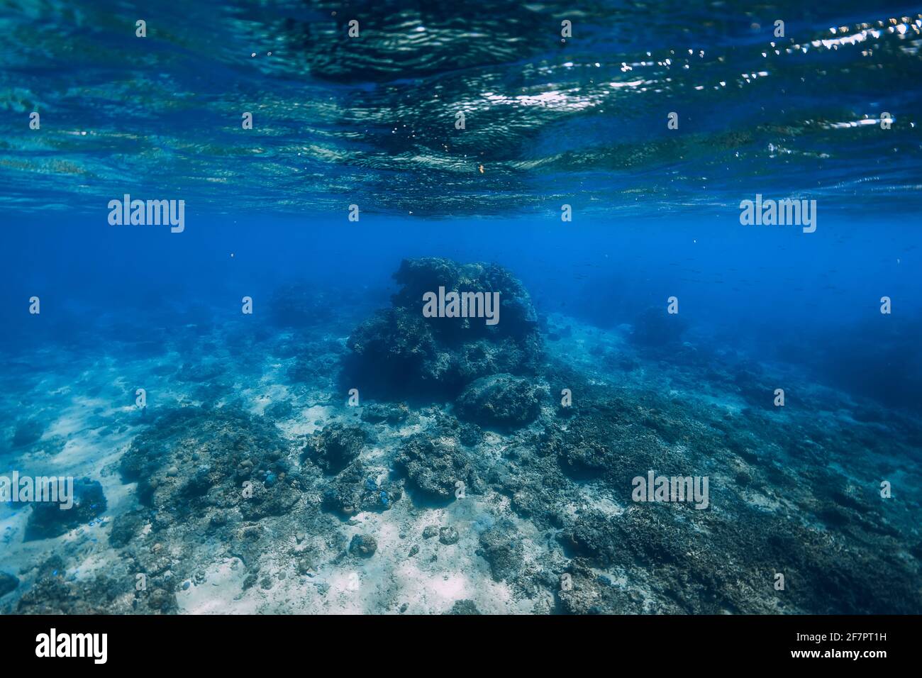 Underwater deep blue ocean water hi-res stock photography and images ...