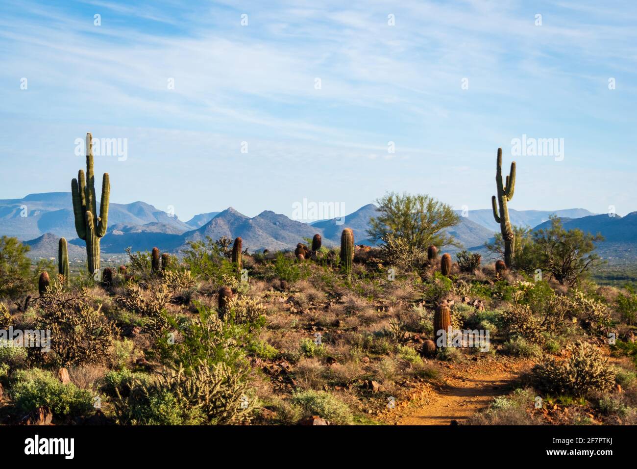 Sonoran desert landscape view from Apache Wash Trail, Phoenix, Arizona ...