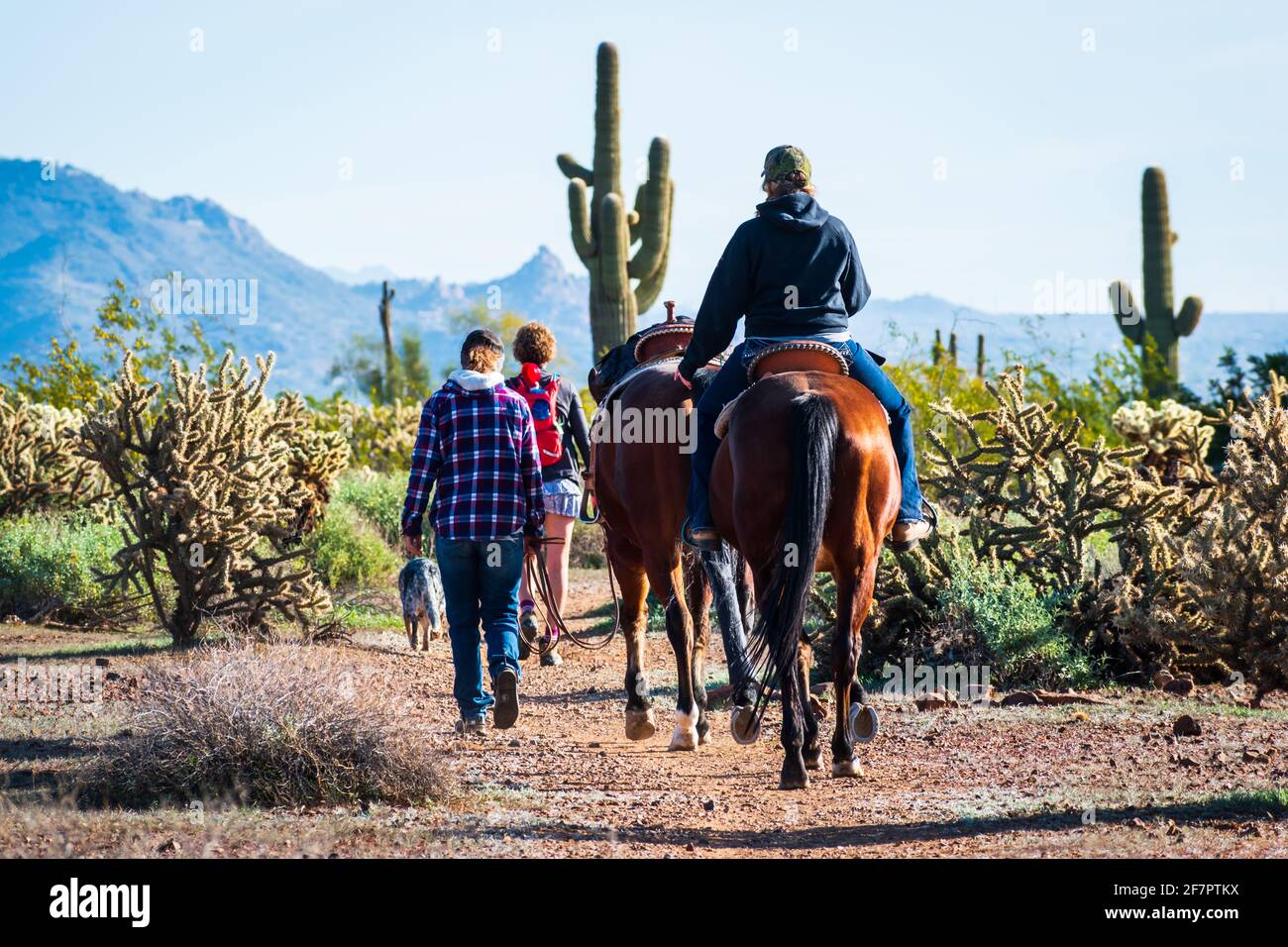 Women riding their horses and hiking at Apache Wash Trail in Phoenix ...