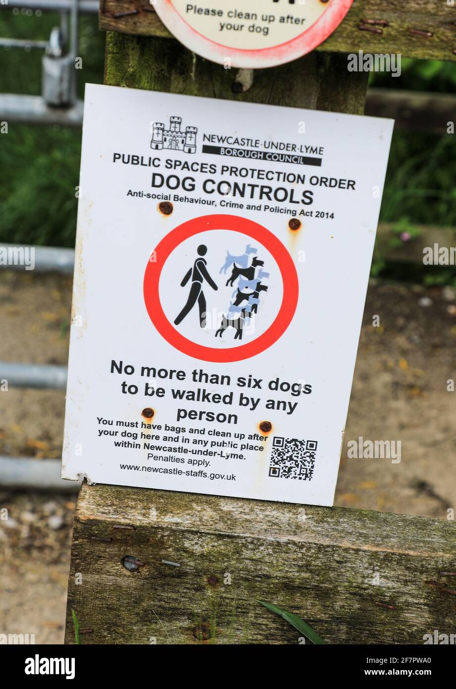 No more than 6 dogs hi-res stock photography and images - Alamy