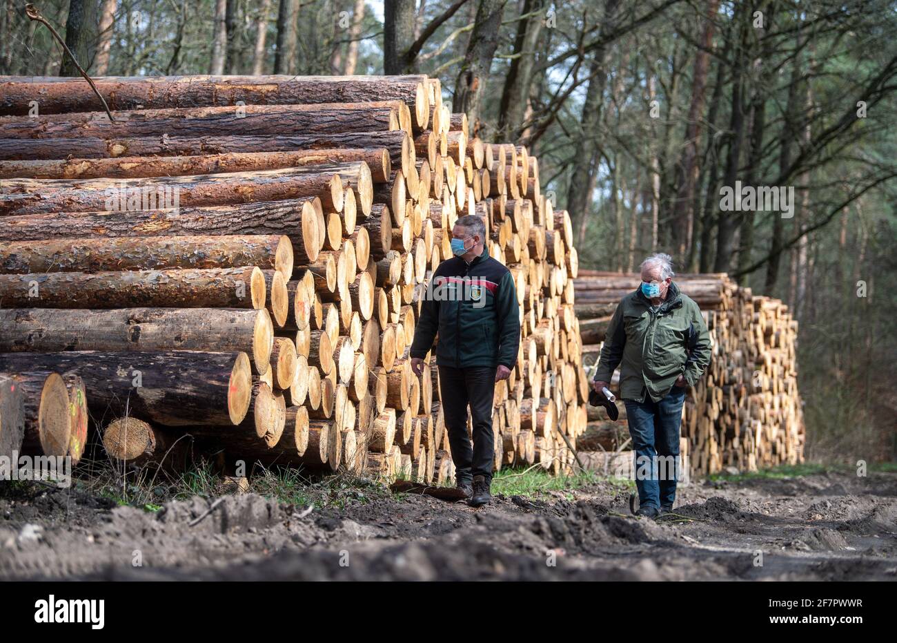 Belgern, Germany. 09th Apr, 2021. Jan Glock (l.), forest district ...