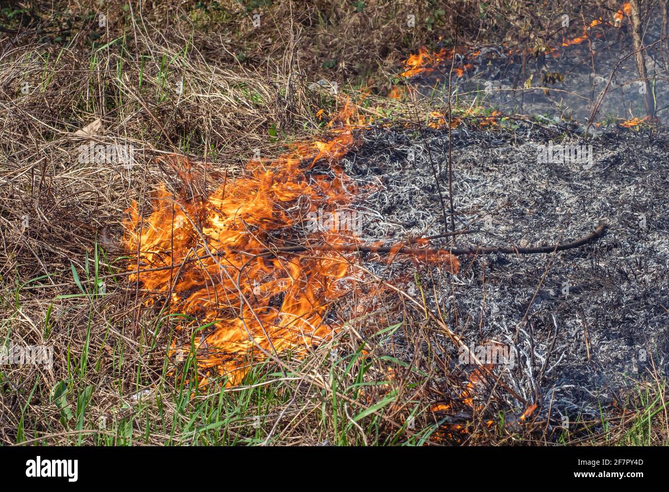 Careless handling hi-res stock photography and images - Alamy