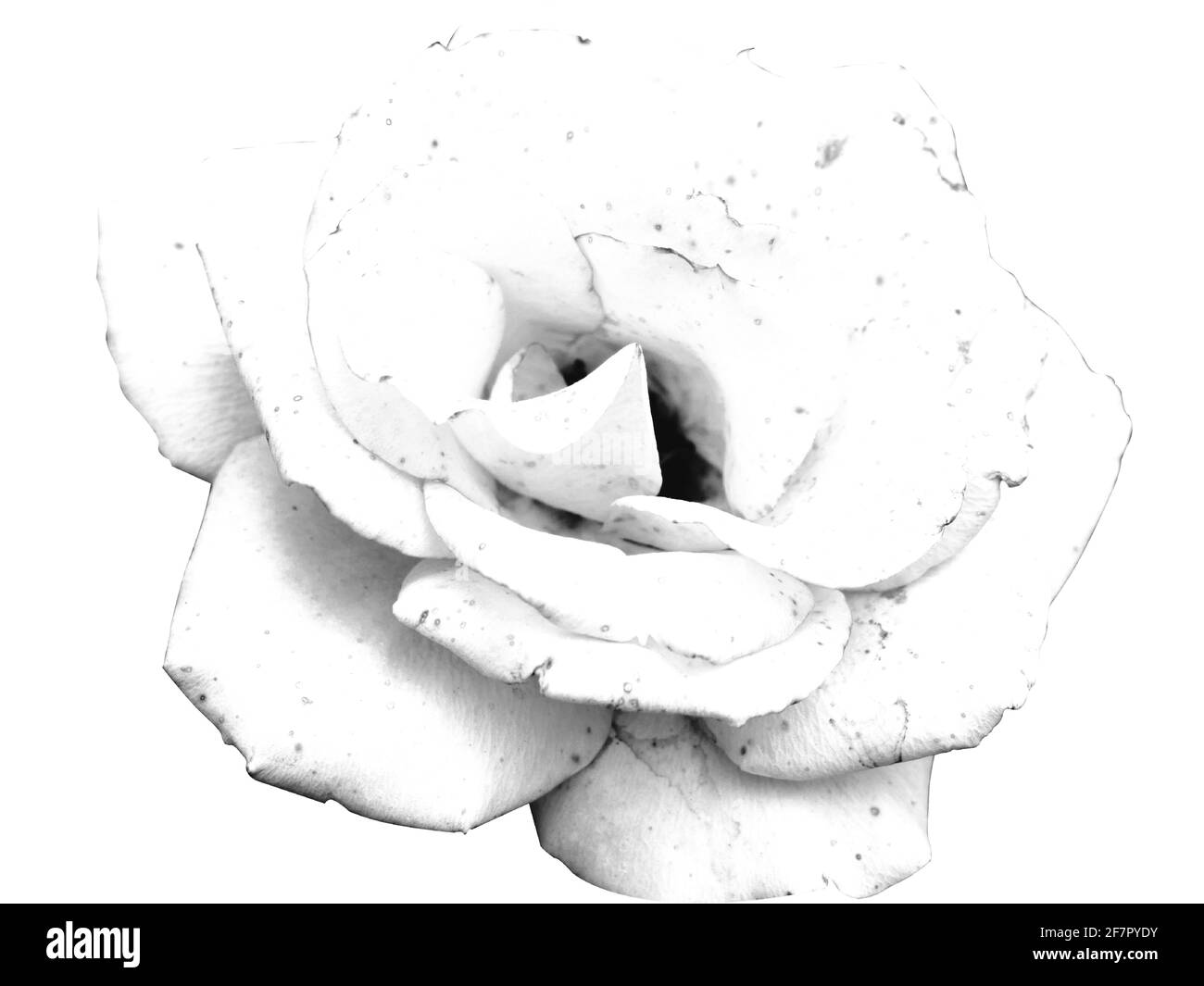 The ribbon playground Stock Vector Images - Alamy