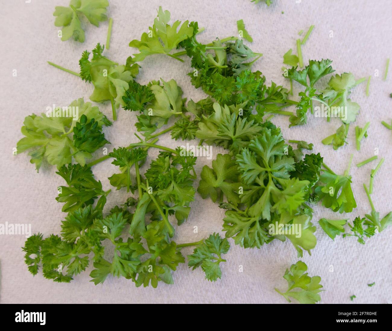 Full frame image of chopped fresh parsley against white textured ...