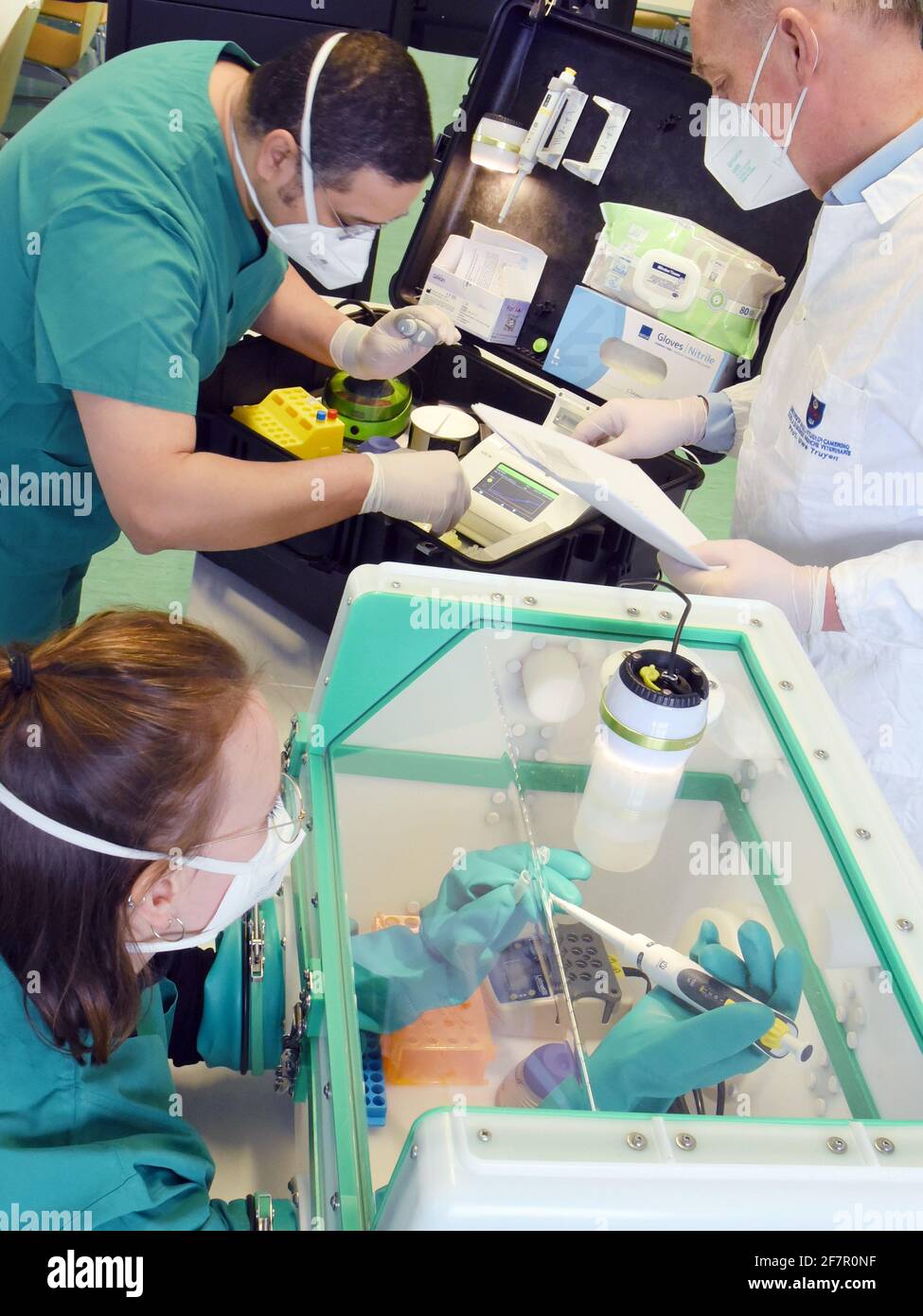 Rpa test hi-res stock photography and images - Alamy