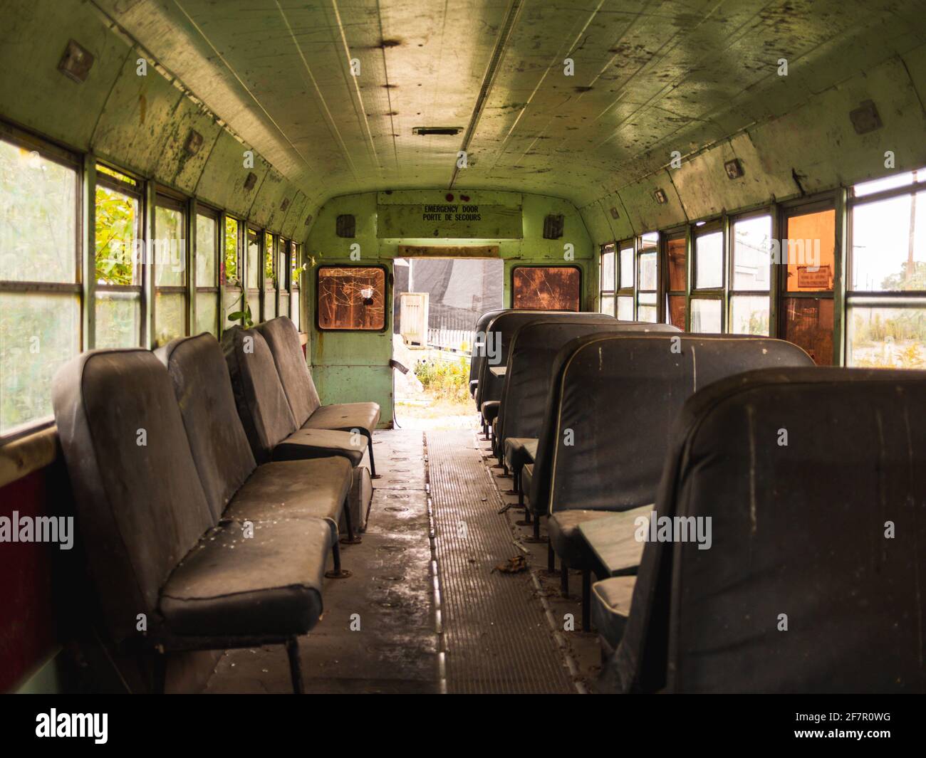 Pictures Of School Buses Inside at Margaret Rivera blog
