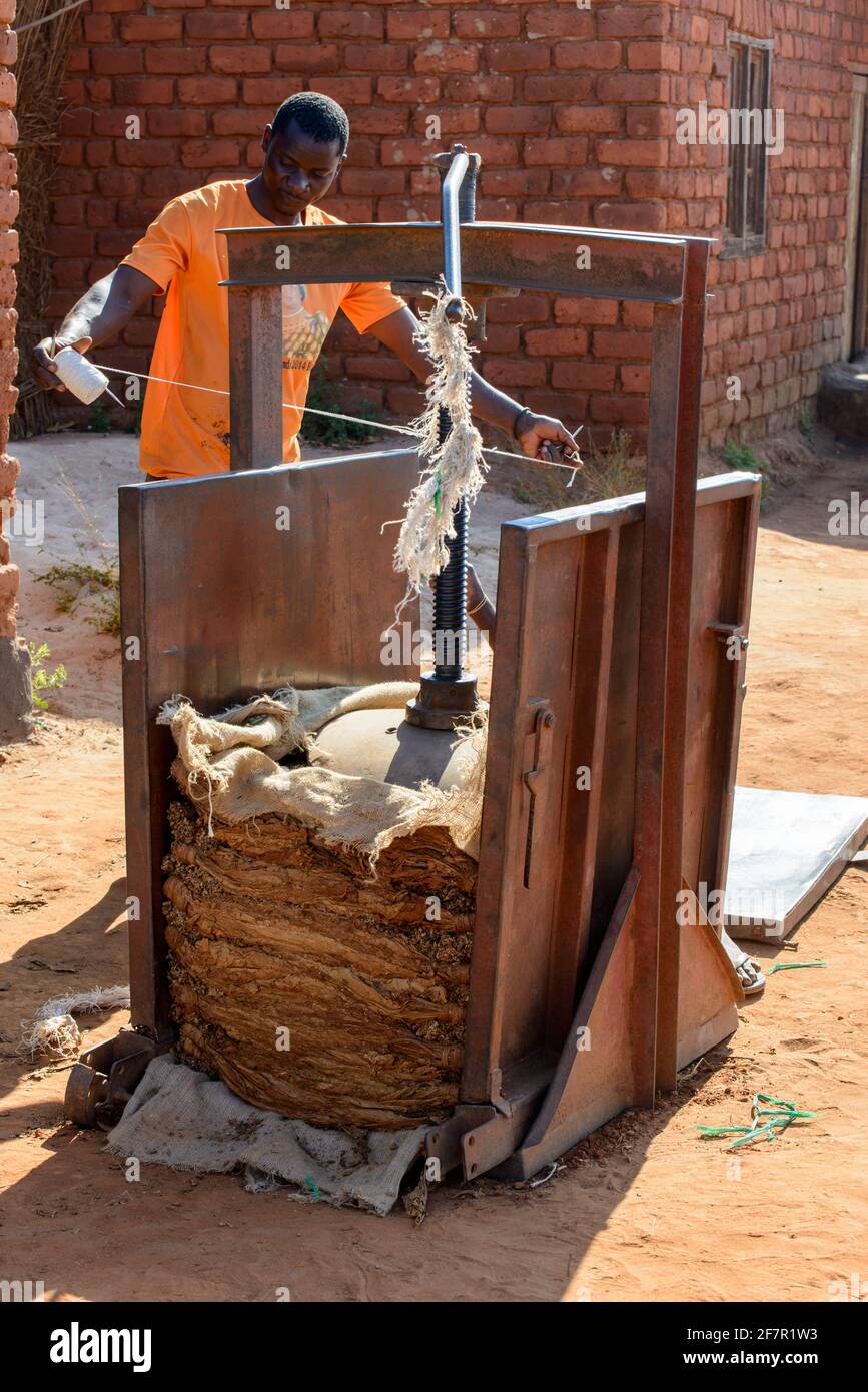 Tobacco press hi-res stock photography and images - Alamy