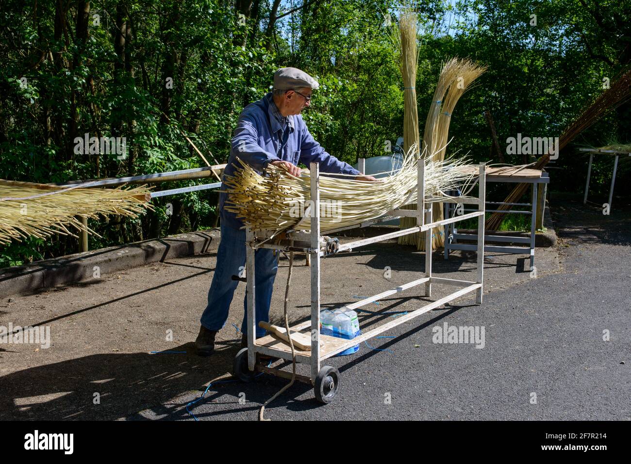 Weaving Reed High Resolution Stock Photography and Images - Alamy