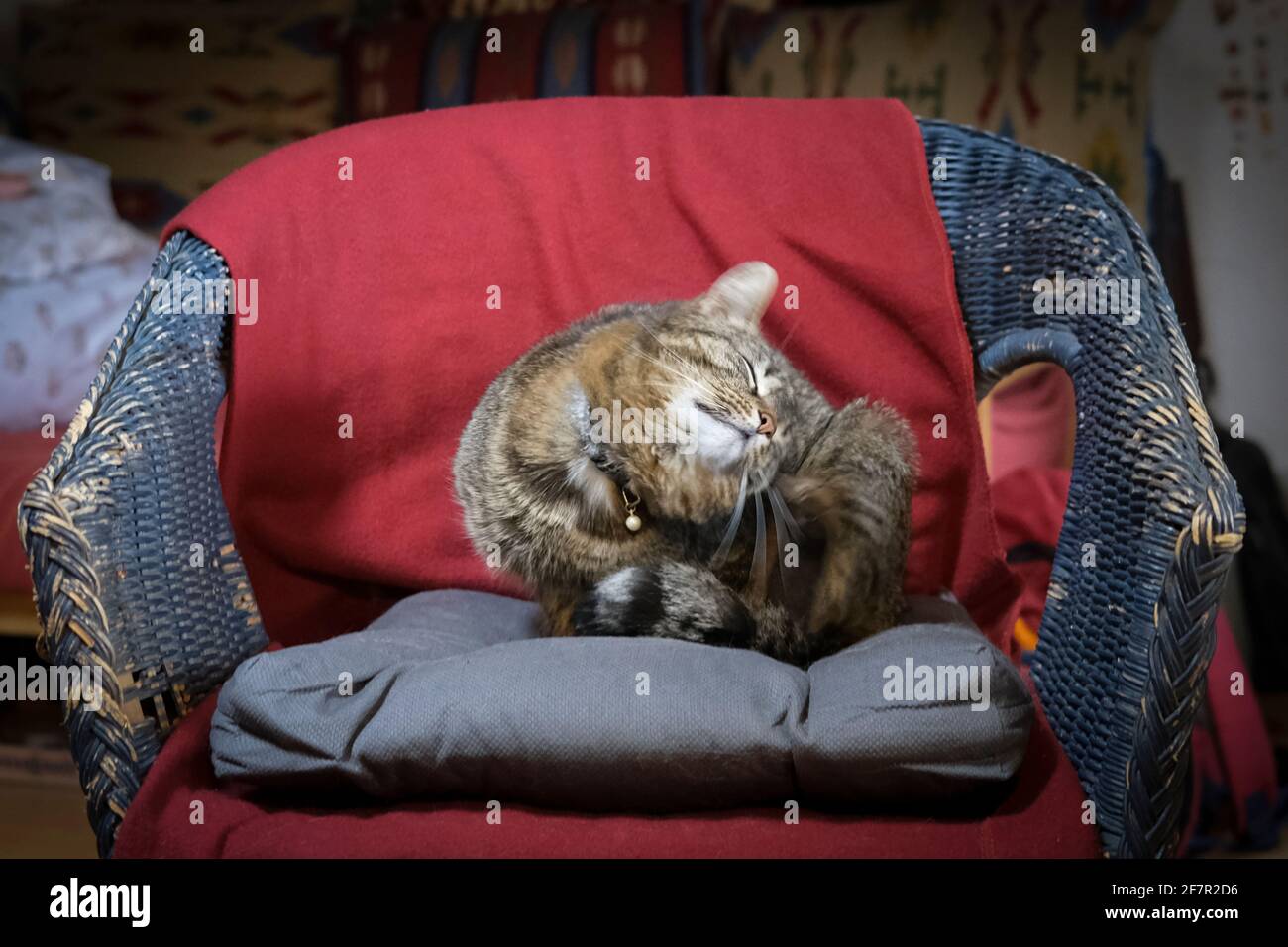 Favourite chair hi-res stock photography and images - Alamy