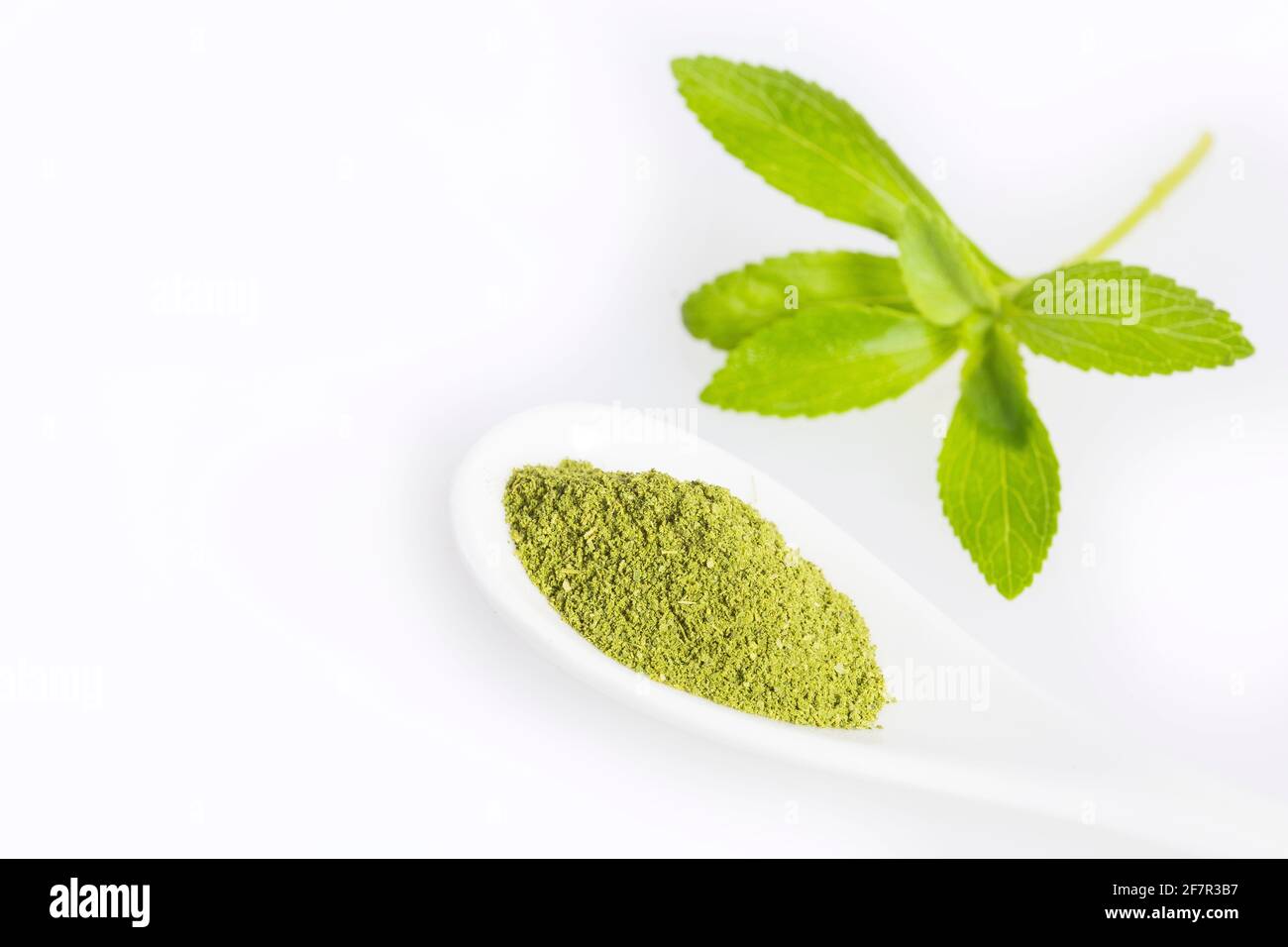 Fresh green Stevia herb and extract powder - Stevia rebaudiana. white ...