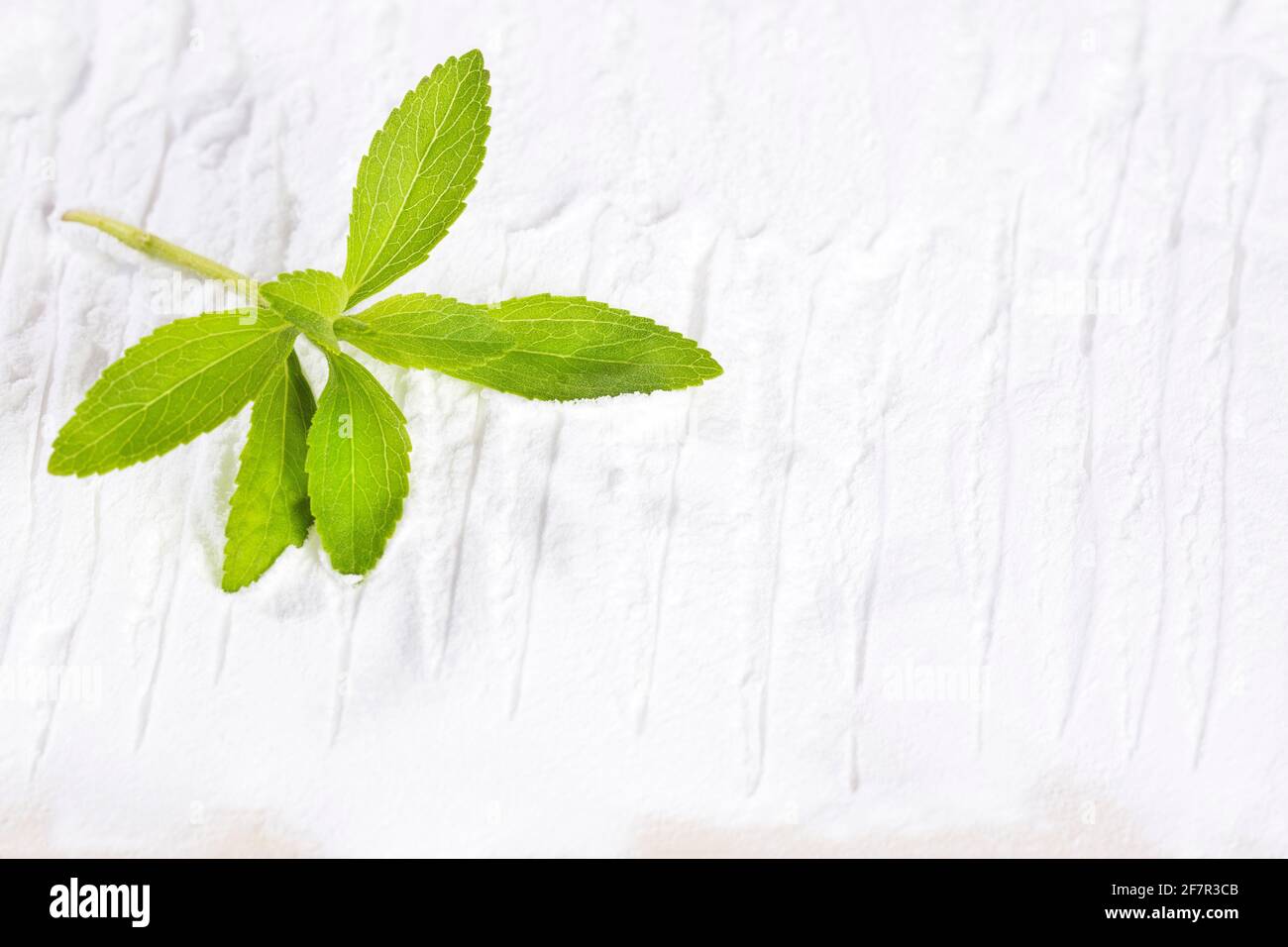 Fresh green Stevia herb and extract powder - Stevia rebaudiana. white ...