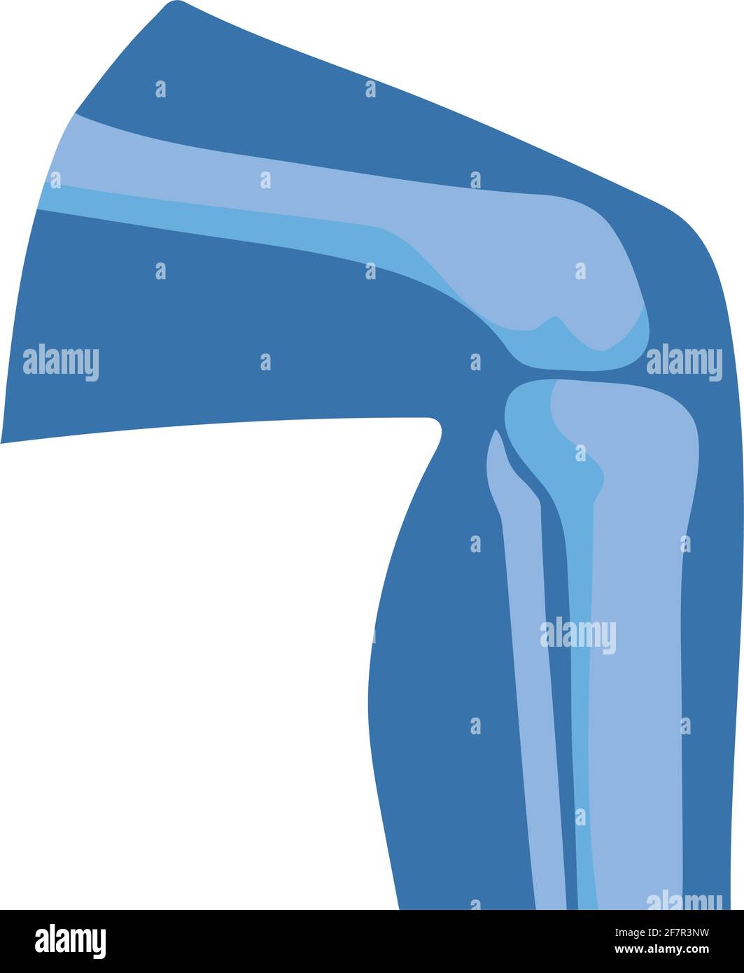 Normal knee hi-res stock photography and images - Alamy