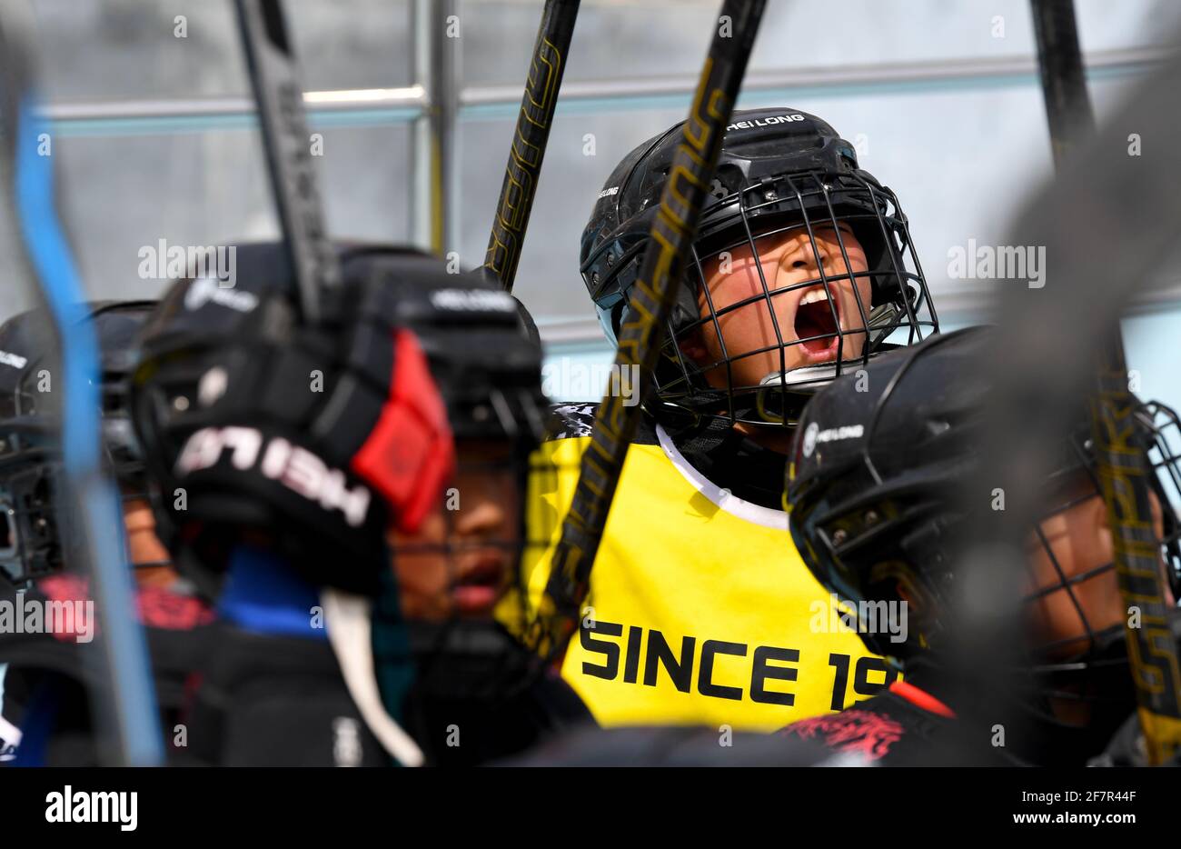 Athletic physiques hi-res stock photography and images - Alamy