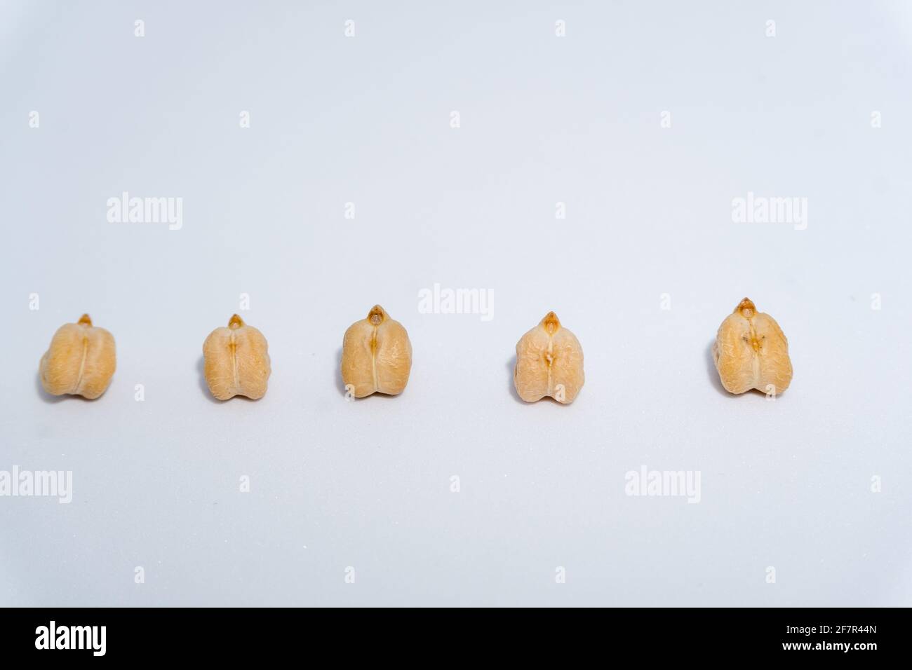 A close up shot of chickpeas in studio settings.Chickpeas, also known ...