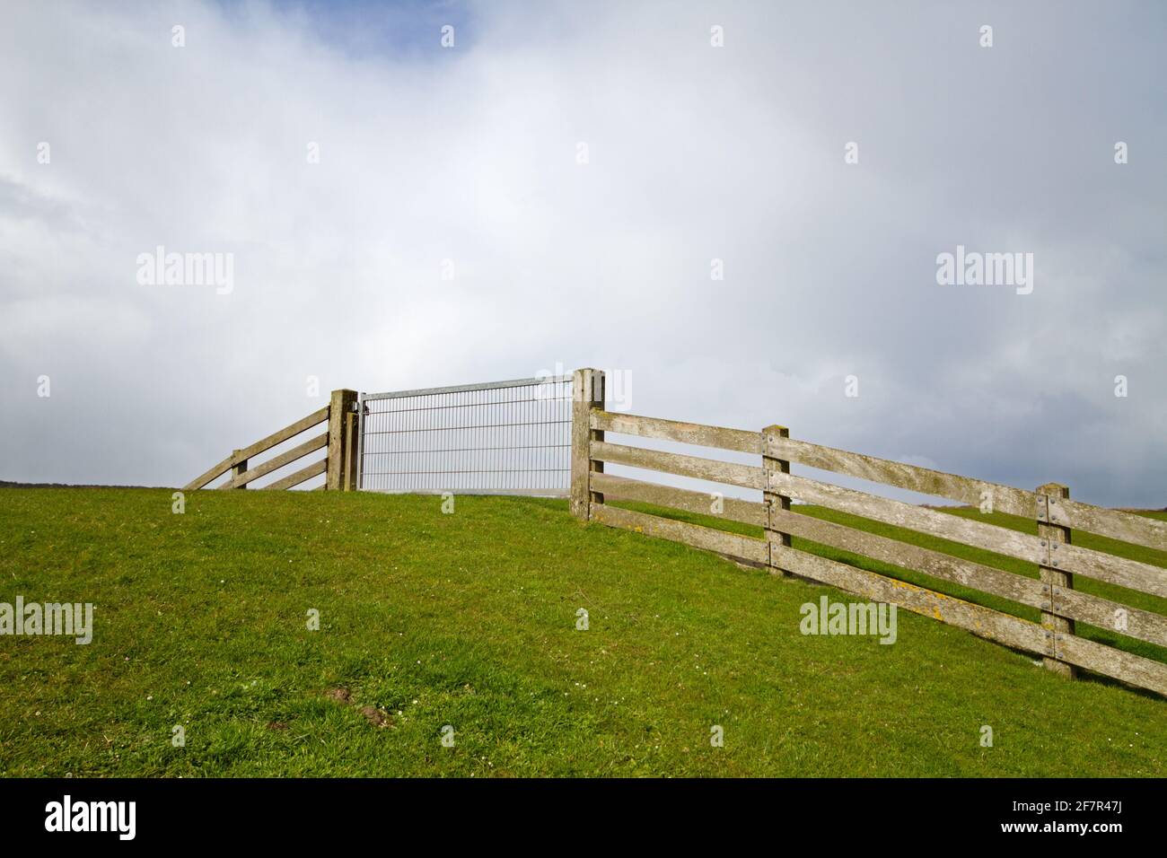 Dutch dike with grass cover, a fence made of planks and steel on a ...
