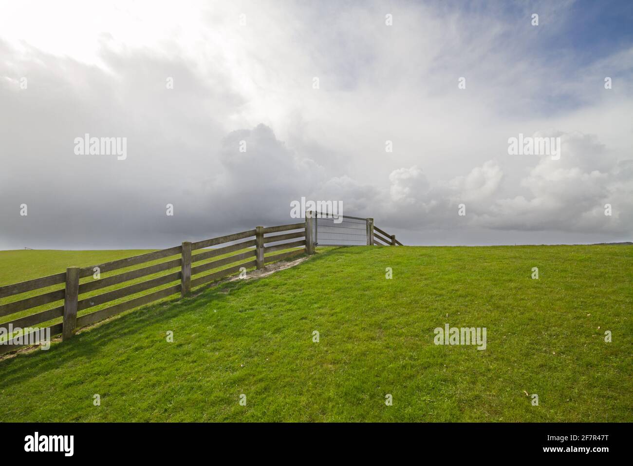 Dutch dike with grass cover, a fence made of planks and steel on a ...
