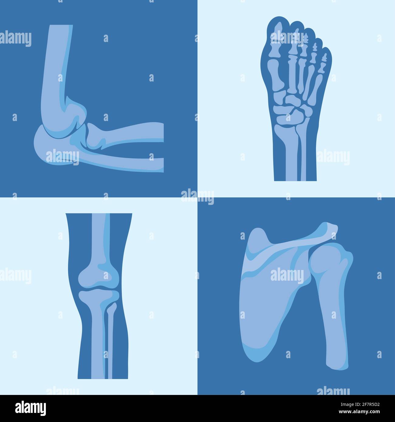Shoulder joints Stock Vector Images - Alamy