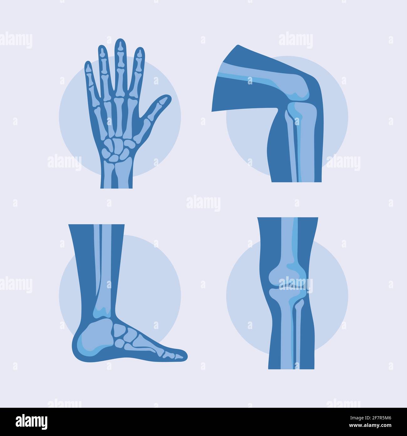 rheumatology bones icons Stock Vector Image & Art - Alamy