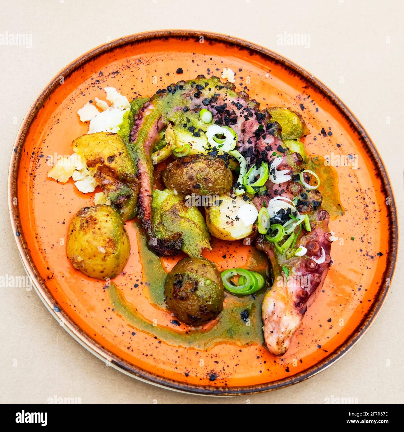 Colored porcelain plate with grilled octopus with potatoes Stock Photo ...